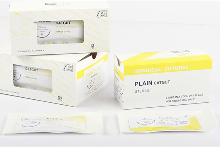 Plain Catgut Suture - ZRMED MEDICAL